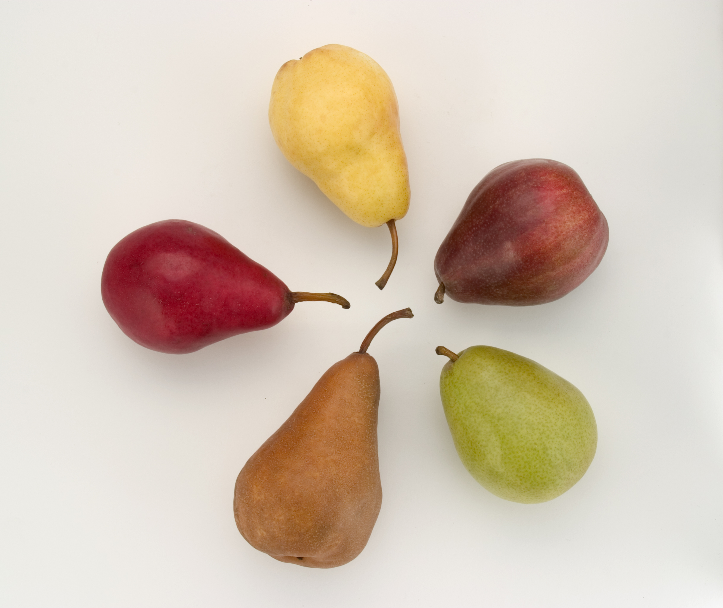 Peras são fontes de fibra, vitamina C e livres de gordura, colesterol e ...